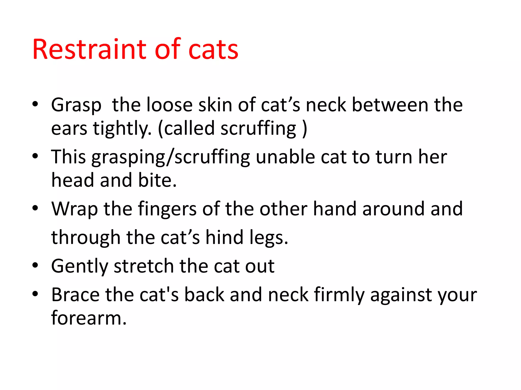 Physical Restraining Methods of dogs and cats | PPTX