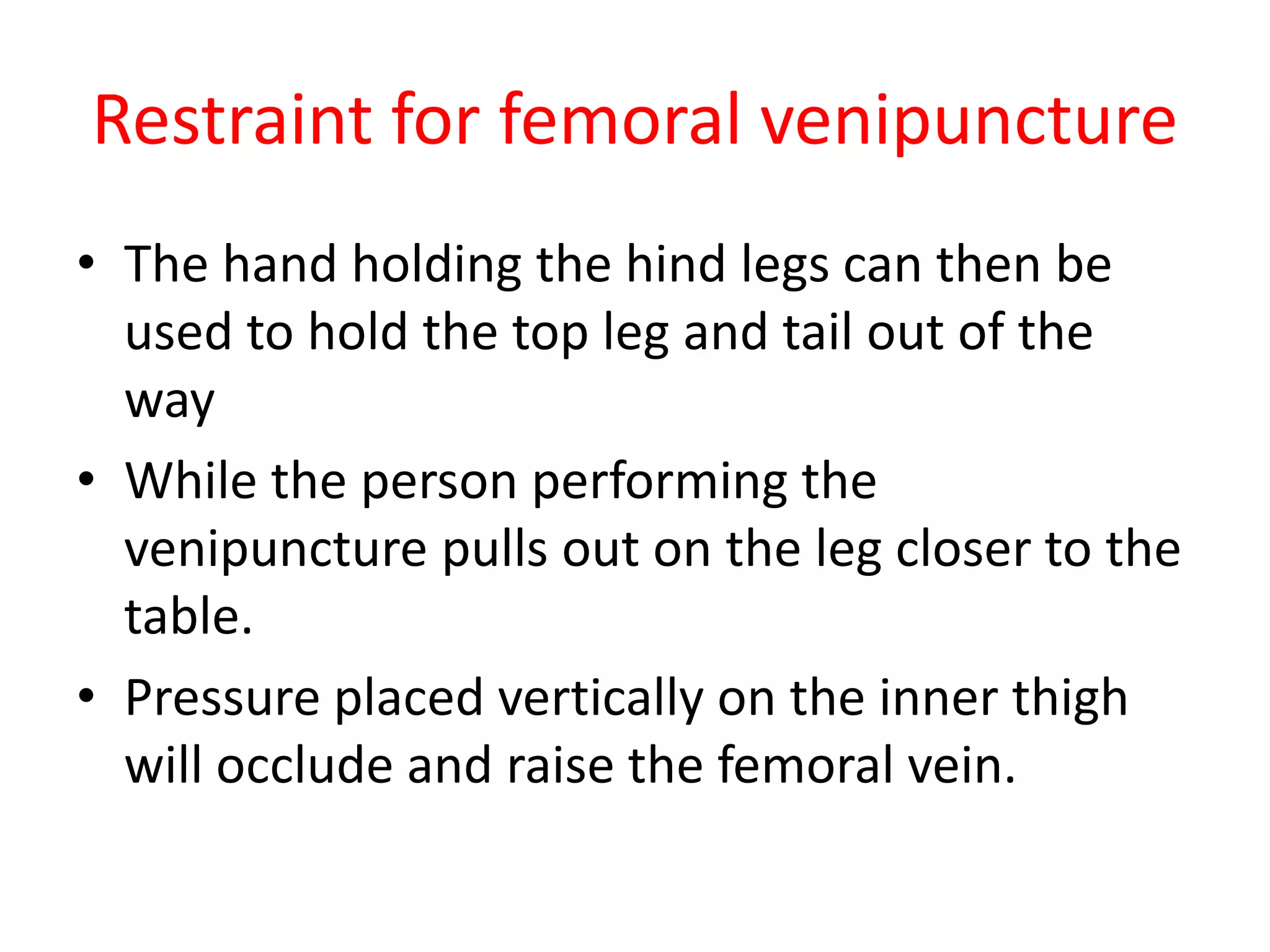 Physical Restraining Methods of dogs and cats | PPTX