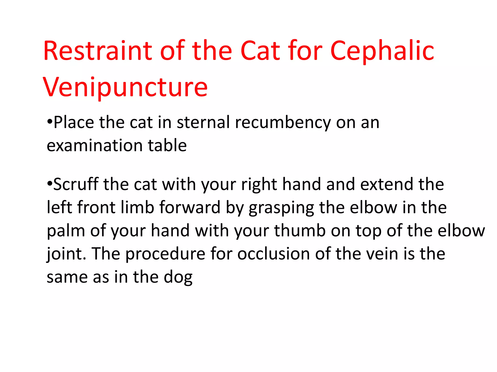 Physical Restraining Methods Of Dogs And Cats Pptx