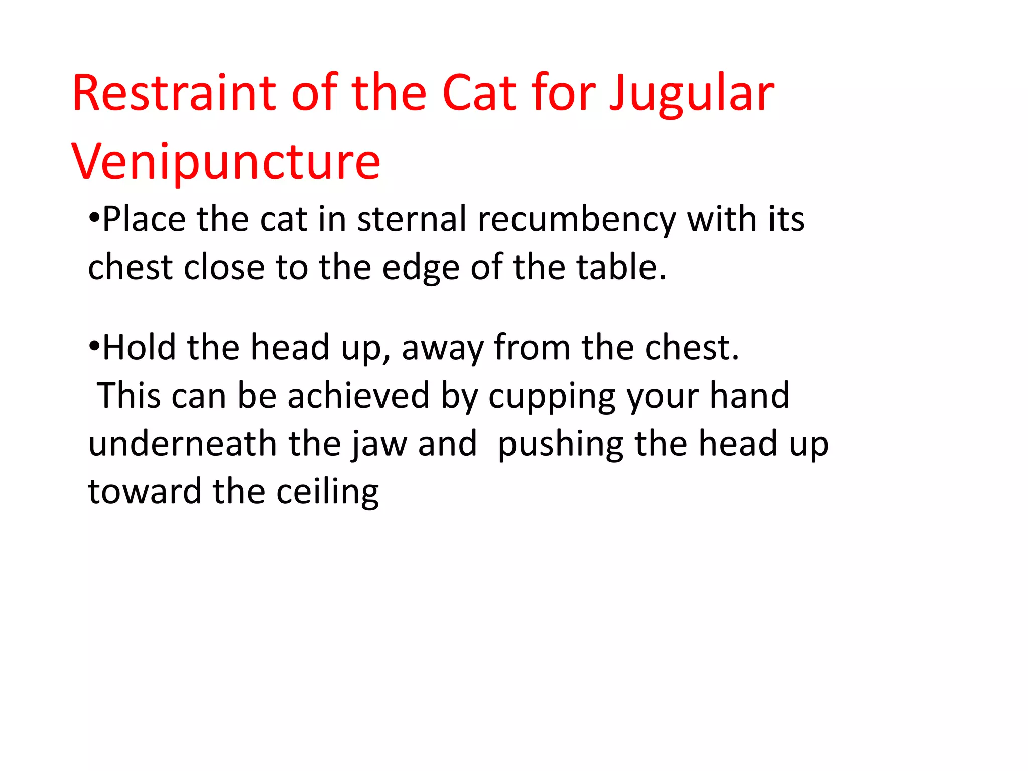Physical Restraining Methods of dogs and cats | PPTX