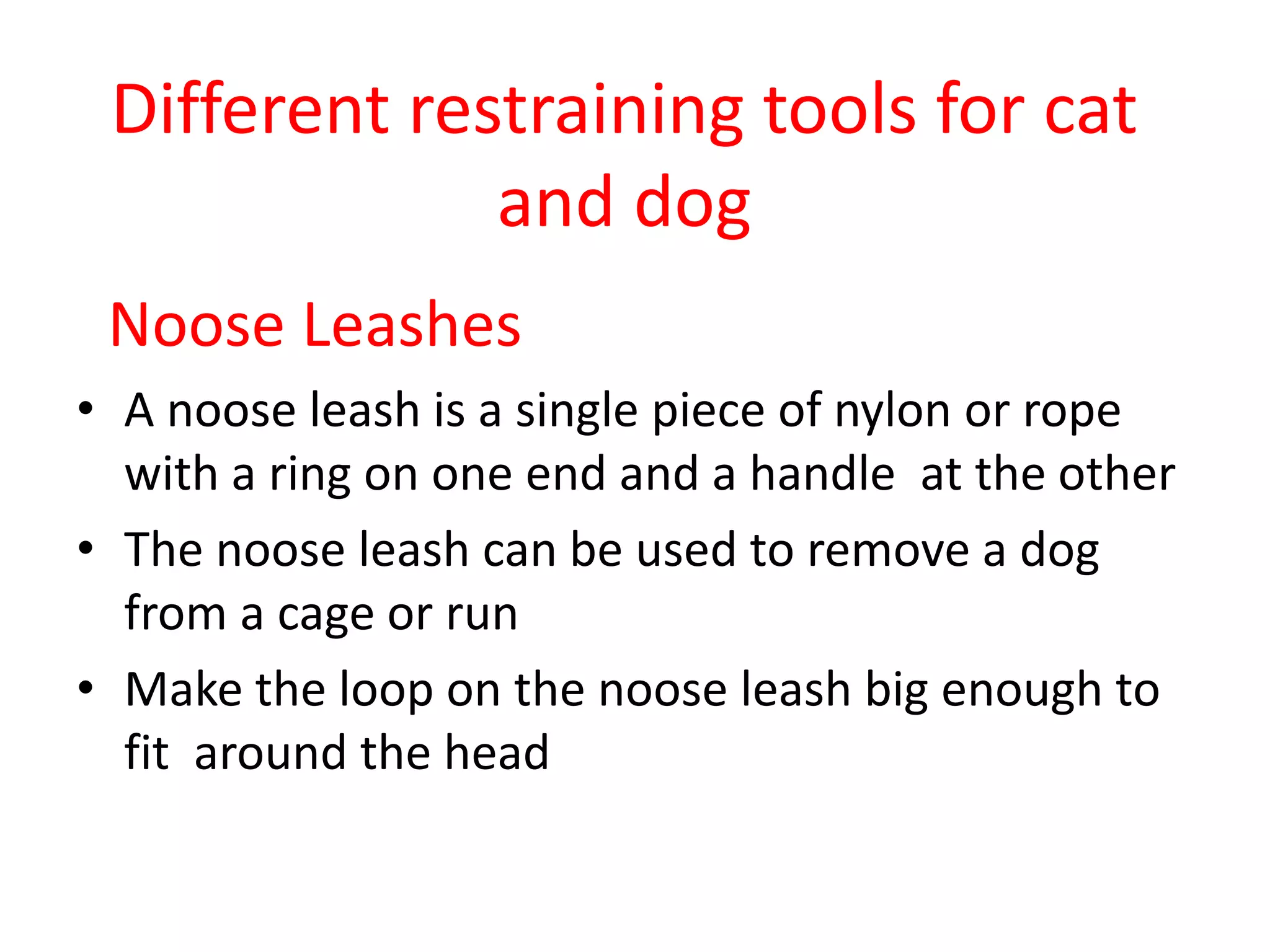 Physical Restraining Methods of dogs and cats | PPTX