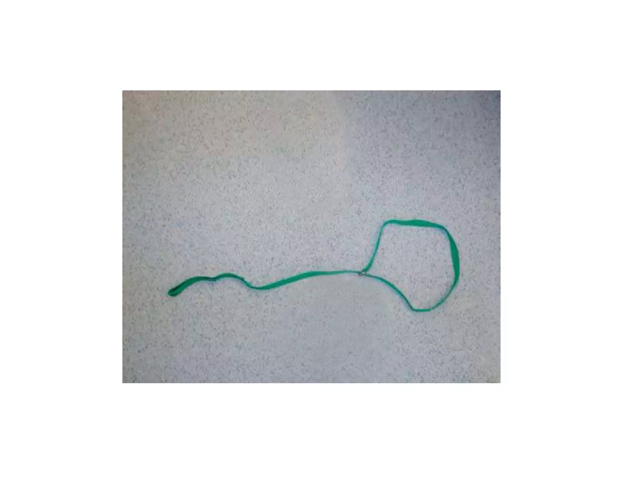 Physical Restraining Methods of dogs and cats | PPTX