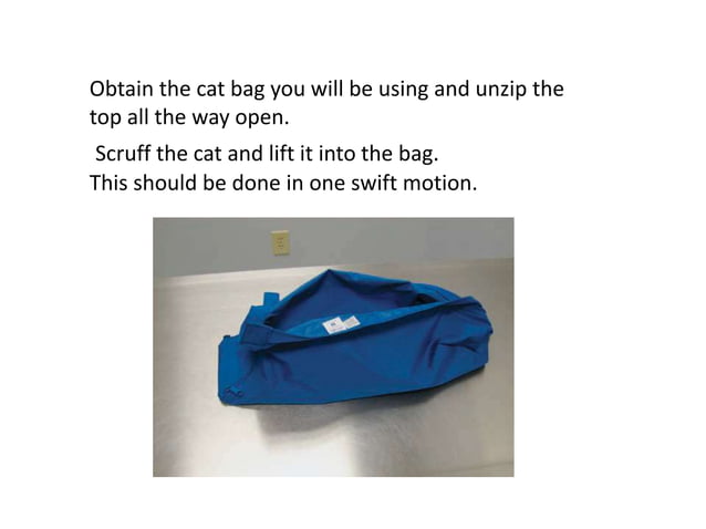 Physical Restraining Methods of dogs and cats | PPTX