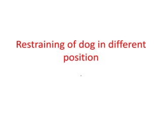 Physical Restraining Methods of dogs and cats | PPTX