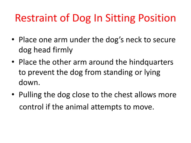Physical Restraining Methods of dogs and cats | PPTX