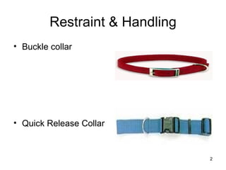 Restraint Handling Dog Collars | PPT