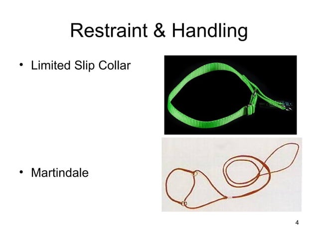 Restraint Handling Dog Collars | PPT