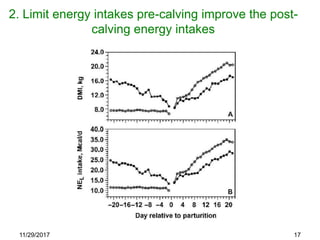 Concept of restricted energy in dairy cattle | PPTX