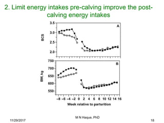 Concept of restricted energy in dairy cattle | PPTX