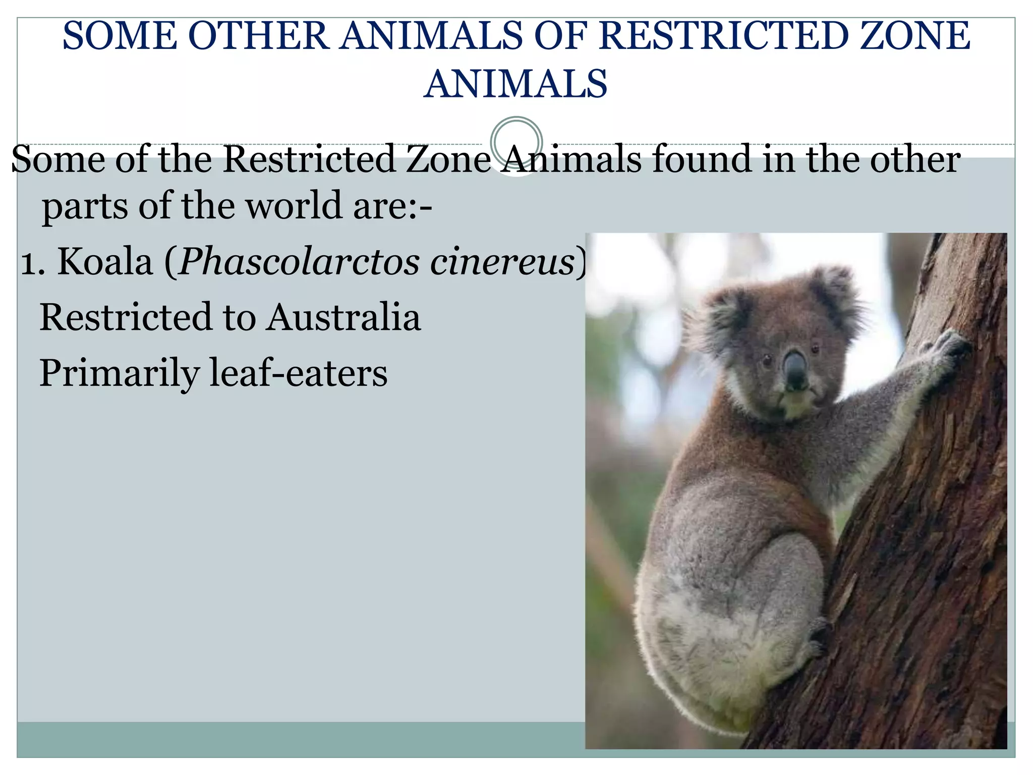 Restricted zone animals and their conservation | PPT