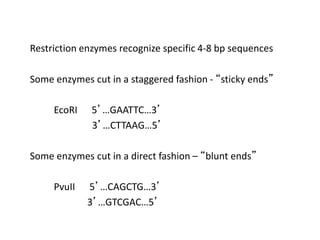 Restriction-enzymes-final.ppt