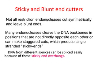 Restriction-enzymes-final.ppt