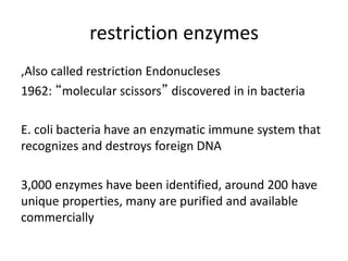 Restriction-enzymes-final.ppt
