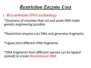 Restriction-enzymes-final.ppt
