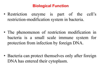 Restriction-enzymes-final.ppt