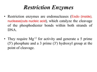 Restriction-enzymes-final.ppt