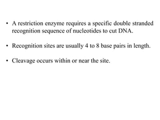 Restriction-enzymes-final.ppt