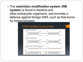 Restriction Modification Enzymes | PPTX