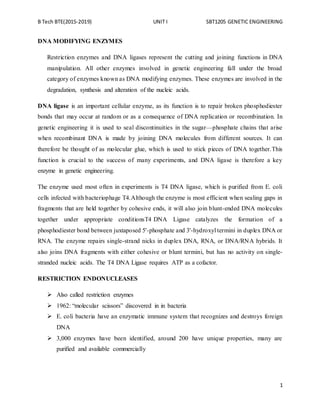 restriction and modifying enzymes.pdf