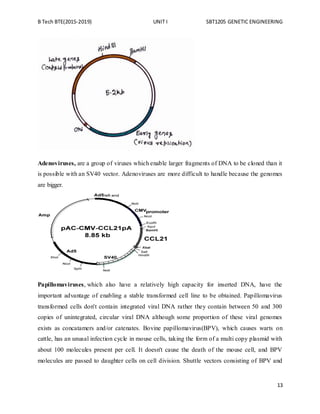 restriction and modifying enzymes.pdf