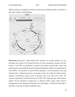 restriction and modifying enzymes.pdf