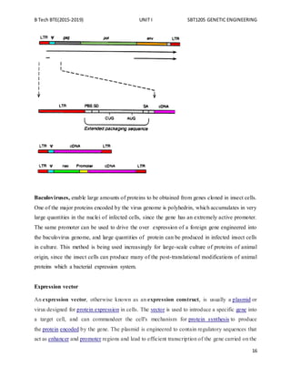 restriction and modifying enzymes.pdf