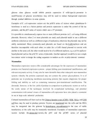 restriction and modifying enzymes.pdf