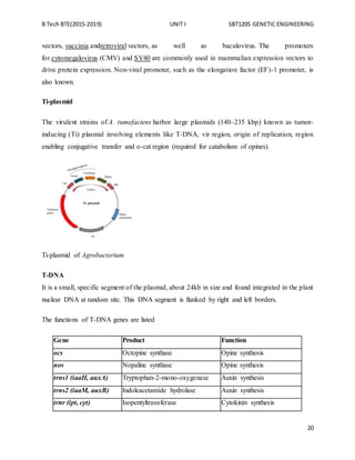 restriction and modifying enzymes.pdf