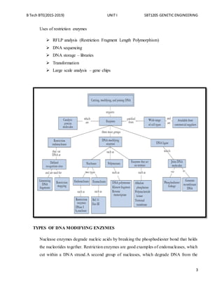 restriction and modifying enzymes.pdf
