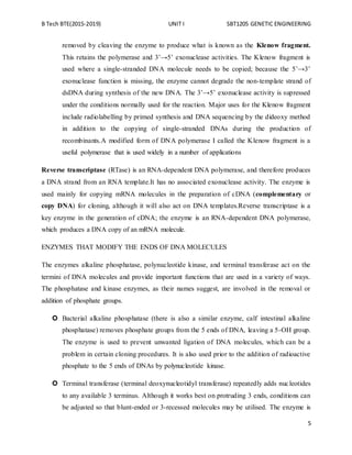 restriction and modifying enzymes.pdf