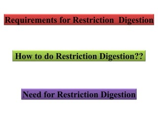 Restriction Digestion | PDF