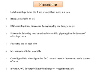 Restriction Digestion | PDF