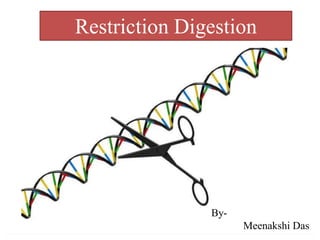 Restriction Enzymes Digestion