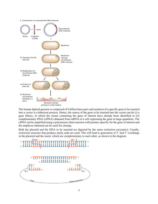 Restriction Digestion and its Applications | PDF