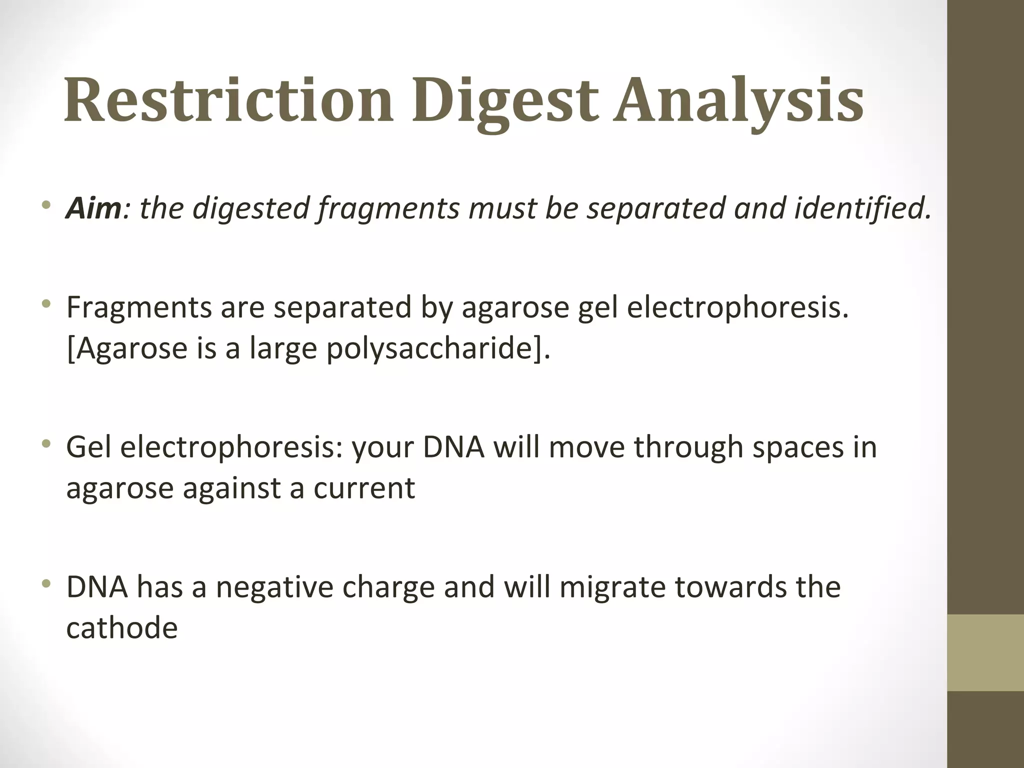 Restriction digestion | PPT