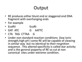 restriction endonuclease. an enzyme for getting fragment of DNA for ...