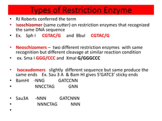 restriction endonuclease. an enzyme for getting fragment of DNA for ...