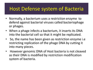 restriction endonuclease. an enzyme for getting fragment of DNA for ...
