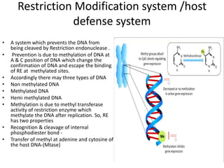 restriction endonuclease. an enzyme for getting fragment of DNA for ...