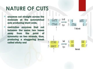RESTRICTION ENDONUCLEASE ,TYPES , MECHANISM , APPLICATION | PPTX
