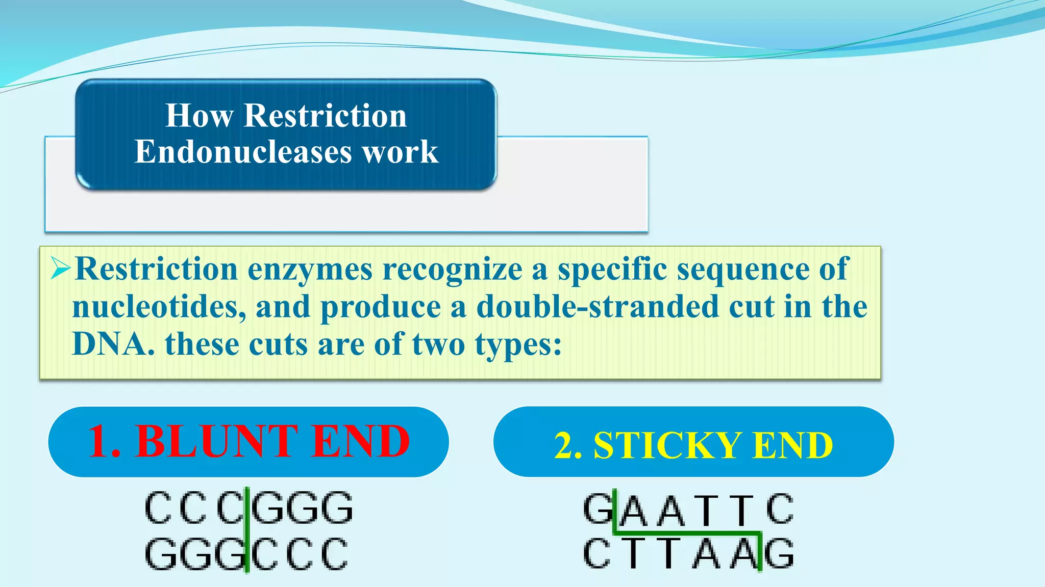 restrictionendonucleases-170328152703.pdf