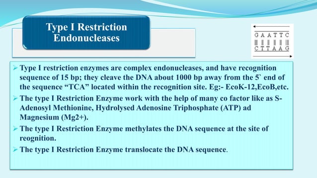 restrictionendonucleases-170328152703.pdf