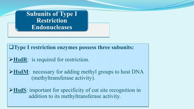 restrictionendonucleases-170328152703.pdf