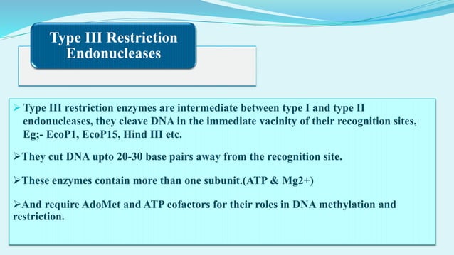 Restriction endonucleases | PPTX