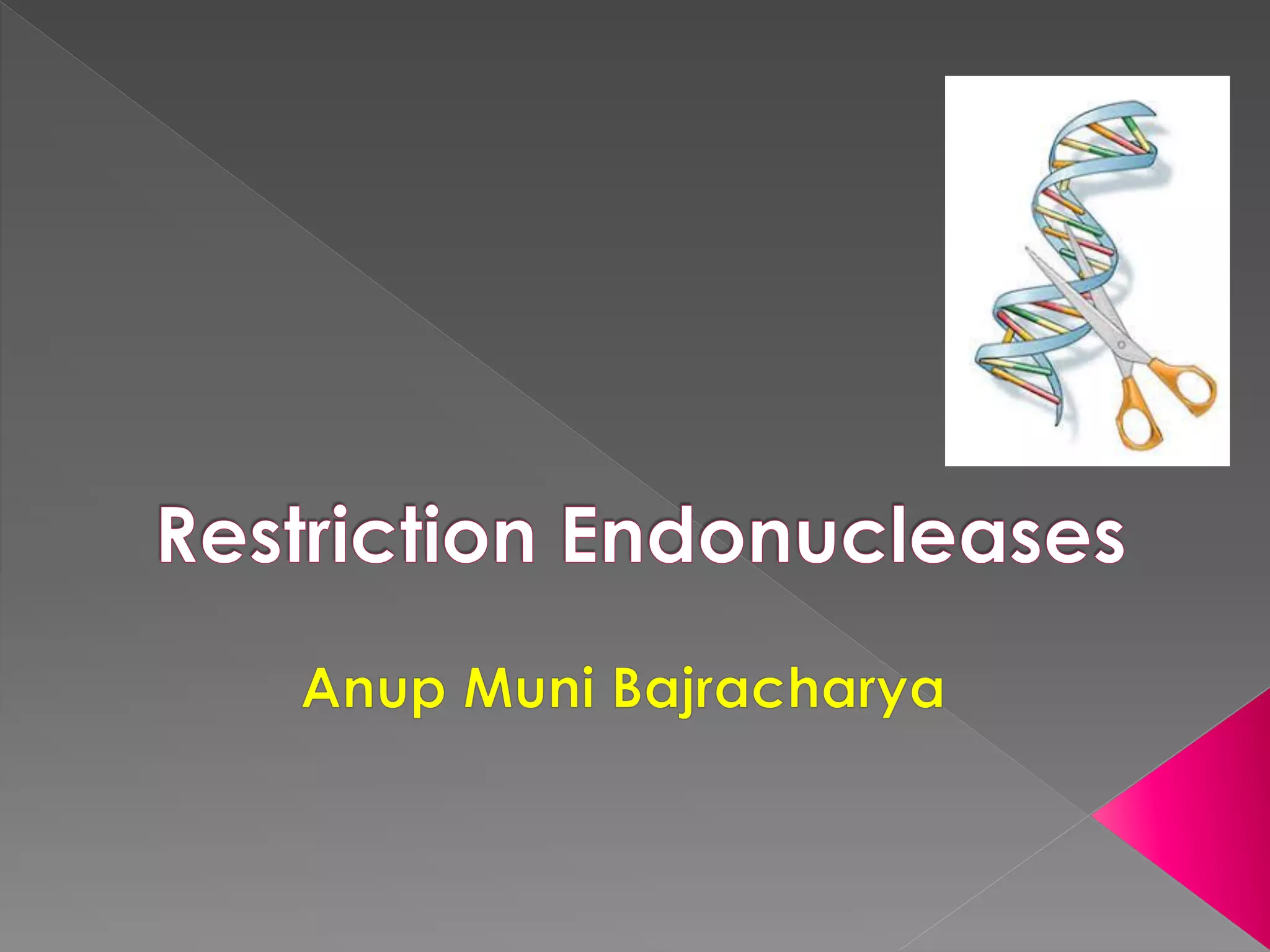 Restriction endonucleases | PDF