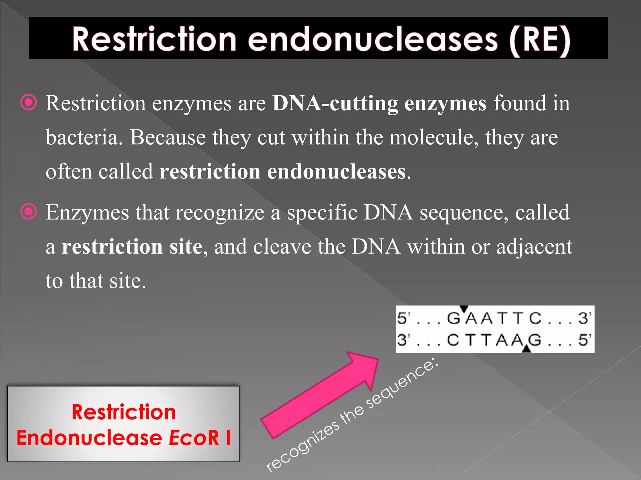 Restriction endonucleases | PDF