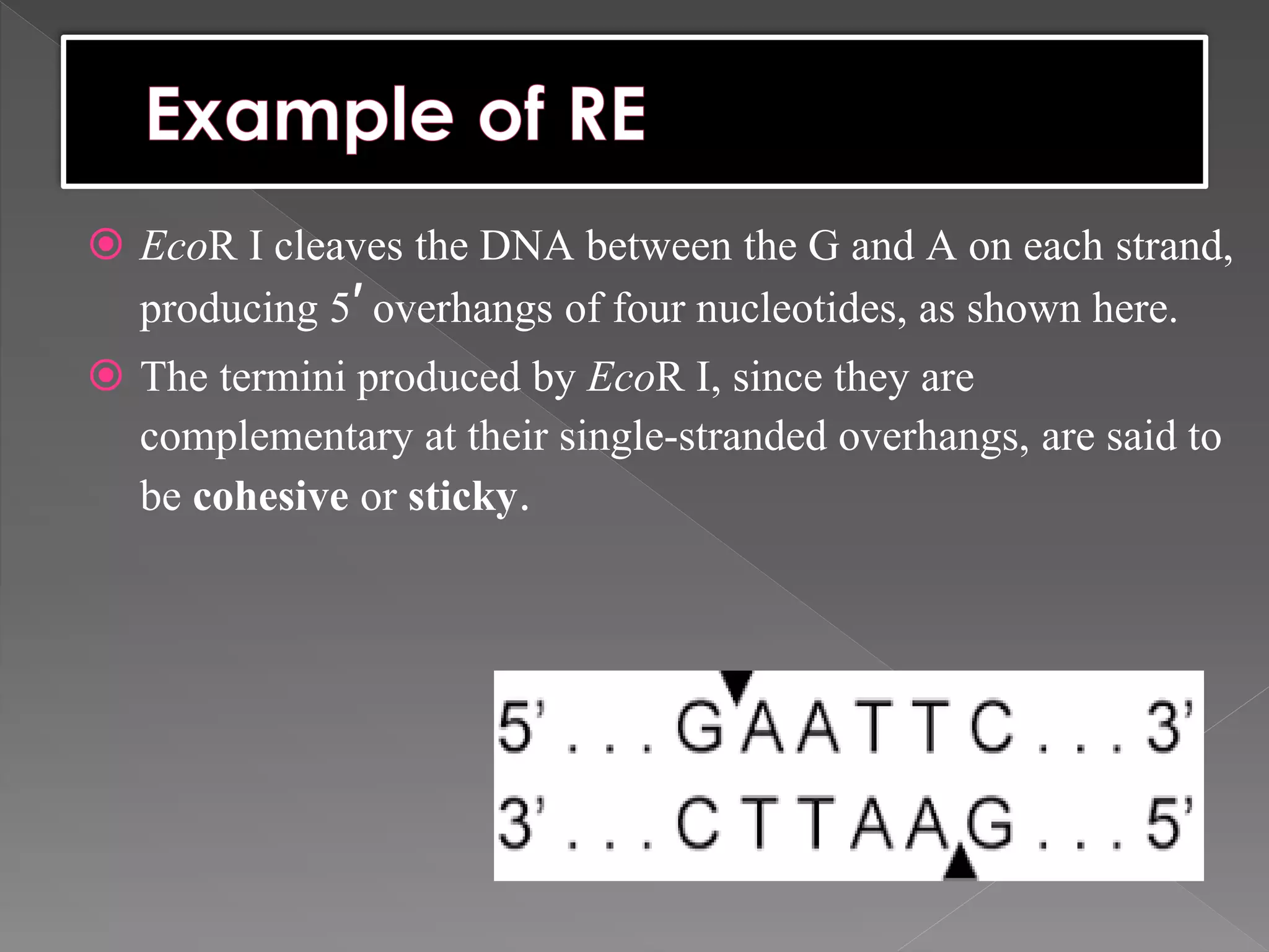 Restriction endonucleases | PDF