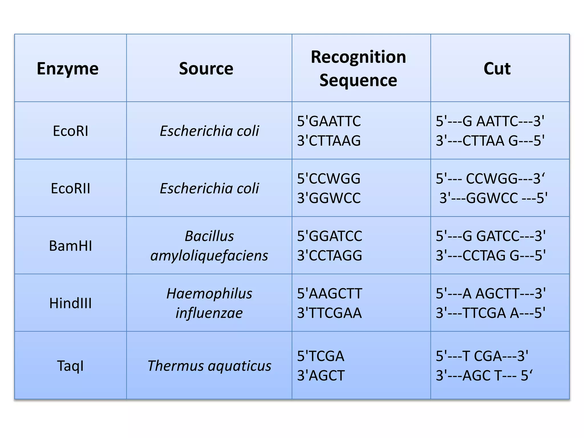 Restriction endonucleases.pptx