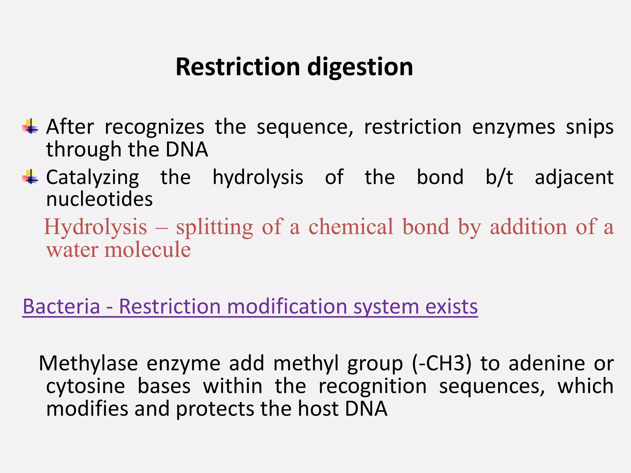 Restriction endonucleases.pptx