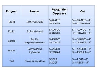 Restriction endonucleases.pptx